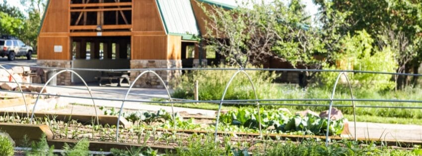 Simple Greywater Systems For Your Tiny Home