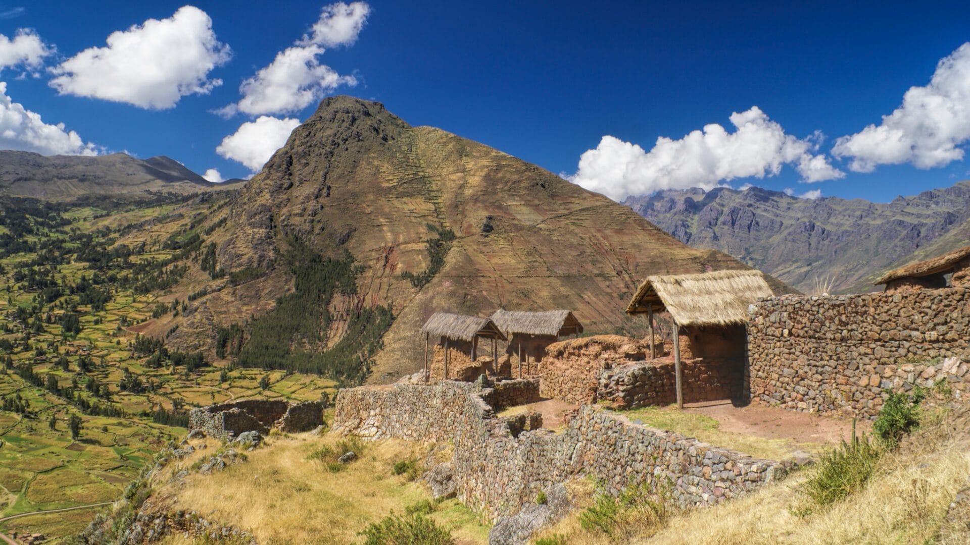 Primitive Survival Shelters: Emergency Living Spaces for Extreme Situations