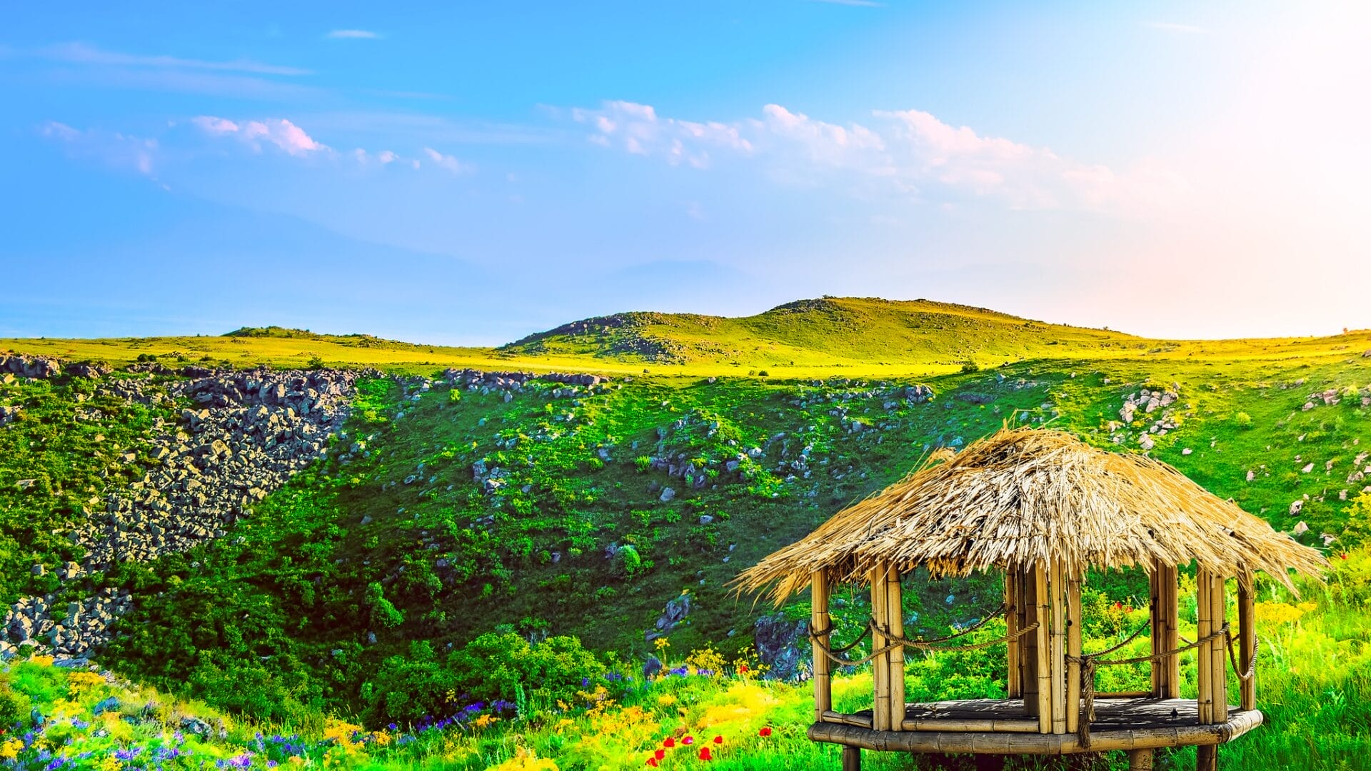 Primitive Survival Shelters: Emergency Living Spaces for Extreme Situations