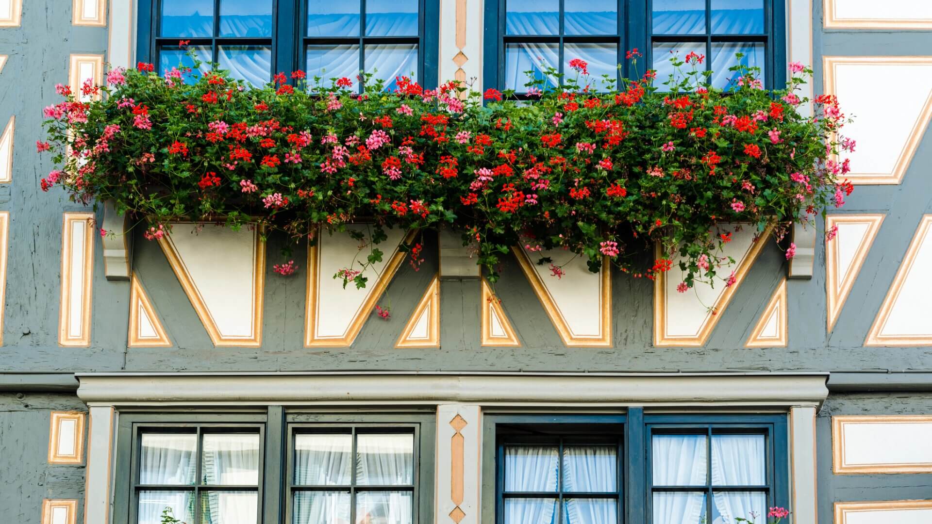 45 Container Garden Ideas for Any Space