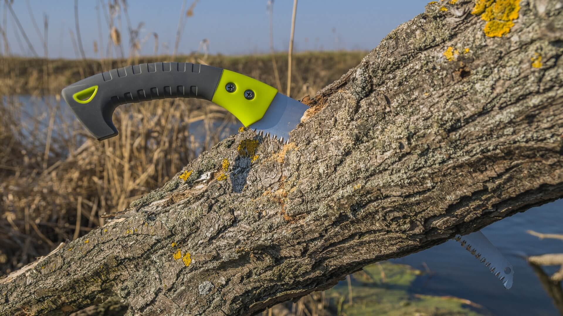 Best Survival Saws Every Prepper Needs to Know