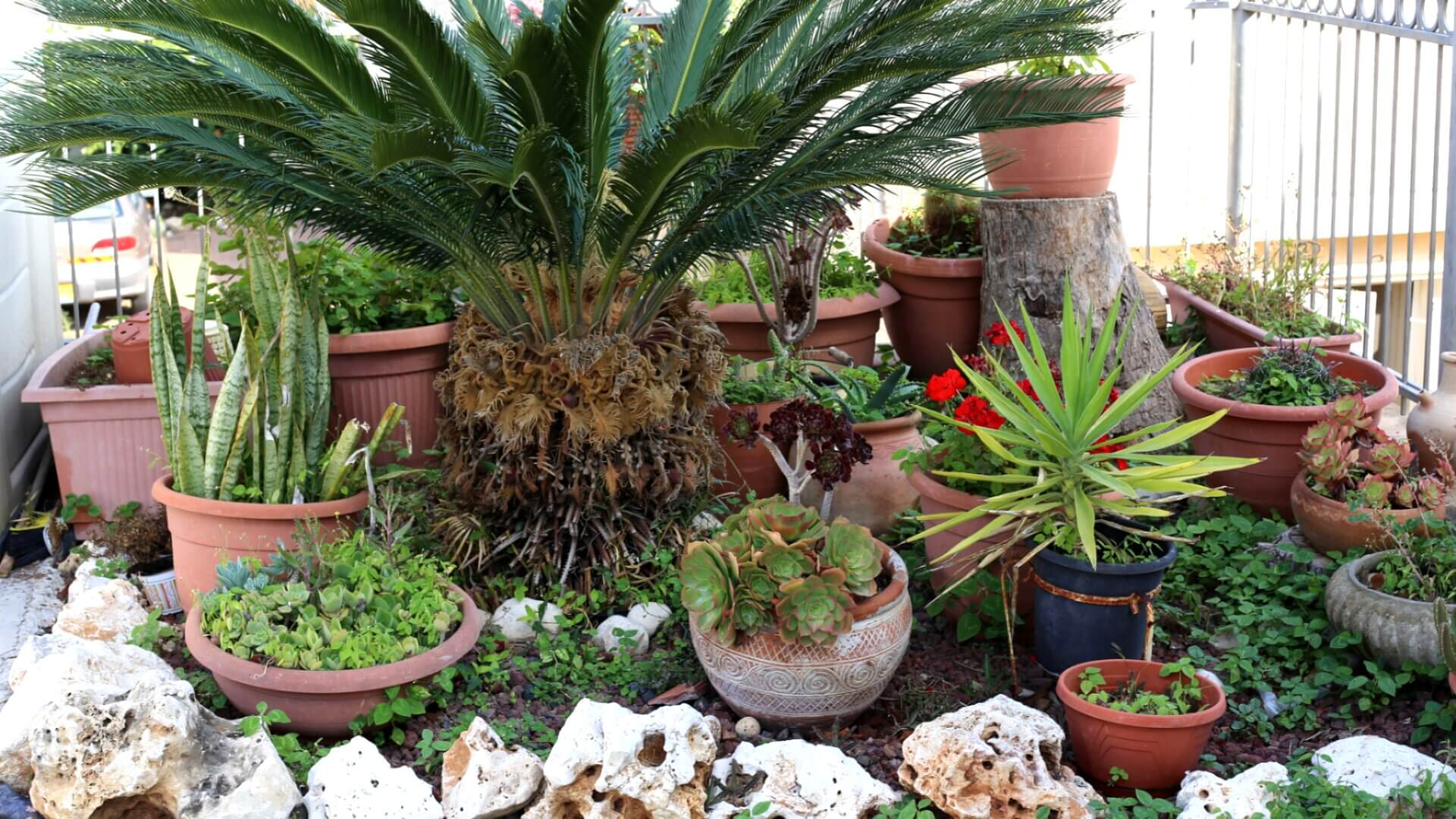 45 Container Garden Ideas for Any Space