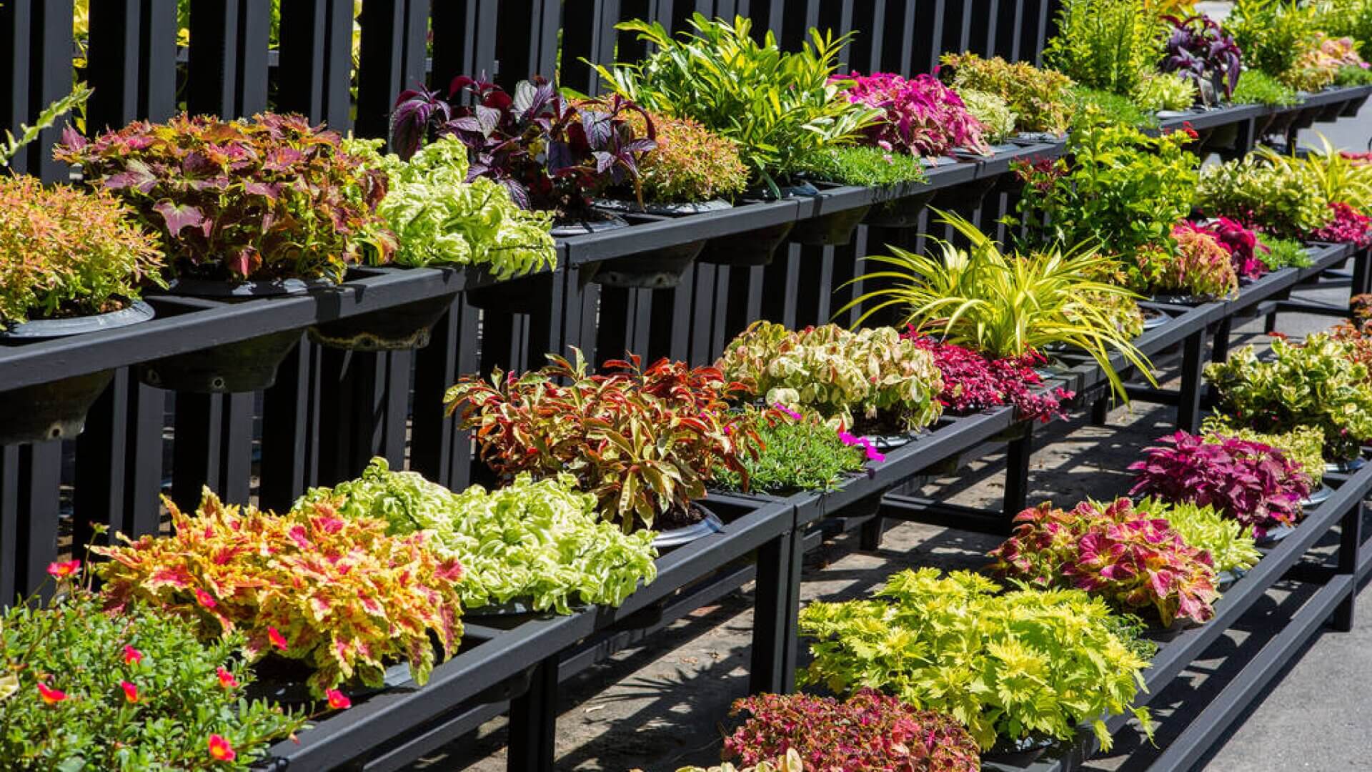 45 Container Garden Ideas for Any Space