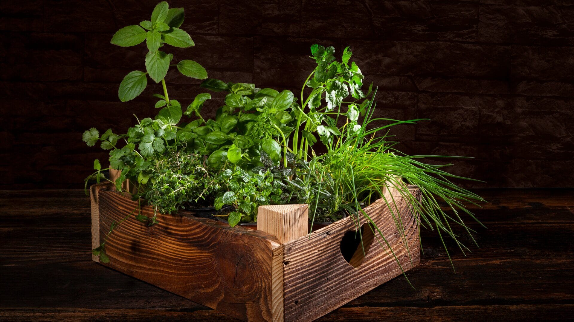 45 Container Garden Ideas for Any Space