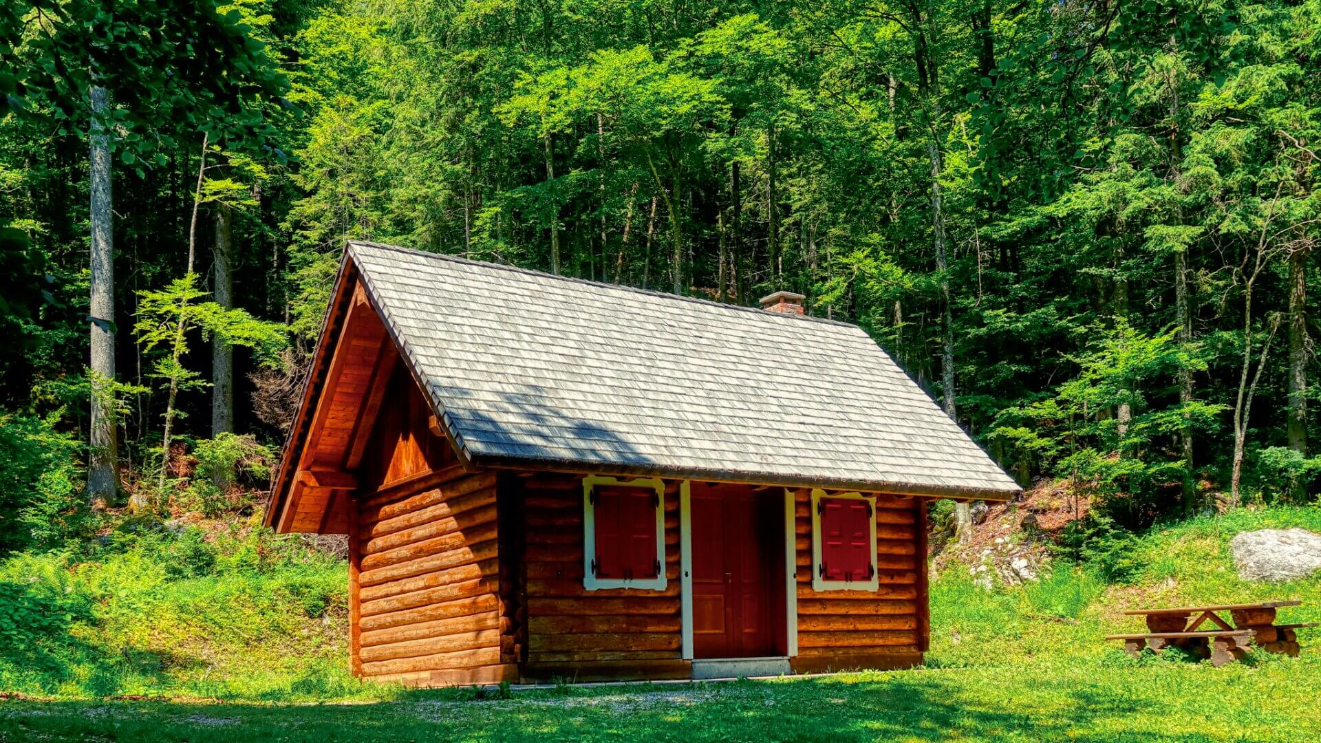 Tiny Designs — ToGaze